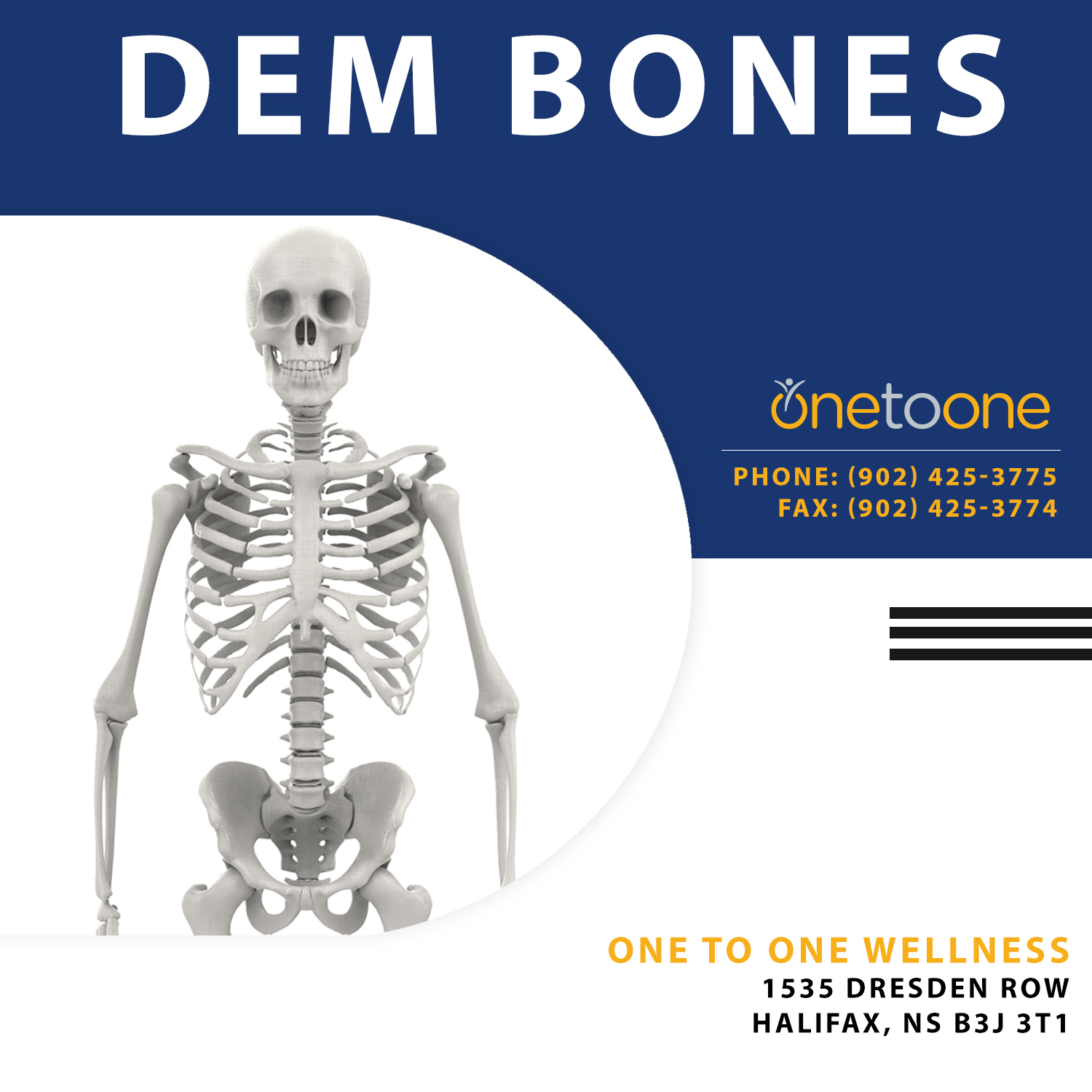 Dem Bones One To One Wellness Blog Physiotherapy Clinic In Halifax NS